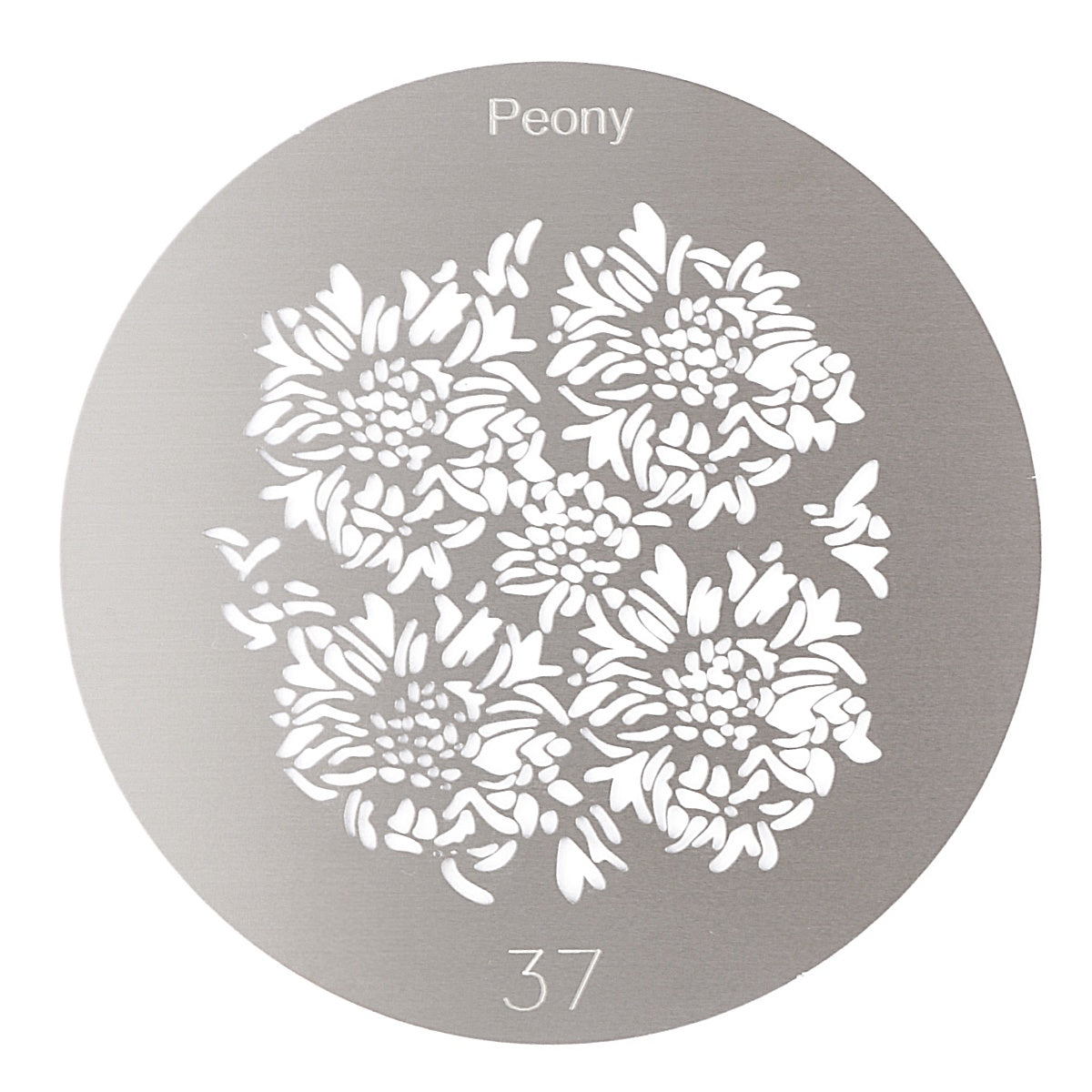 Camerastuff CCS-02 Peony Flowers Steel Gobo Disc 65mm For Optical Snoot ...